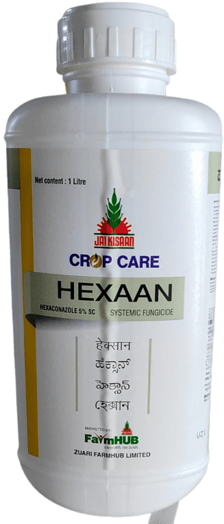 HEXAAN-1 LTR